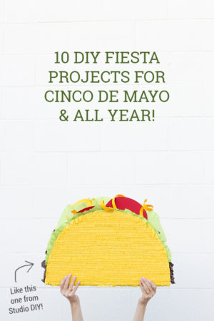 10 DIY Fiesta Projects for Cinco de Mayo - Shrimp Salad Circus