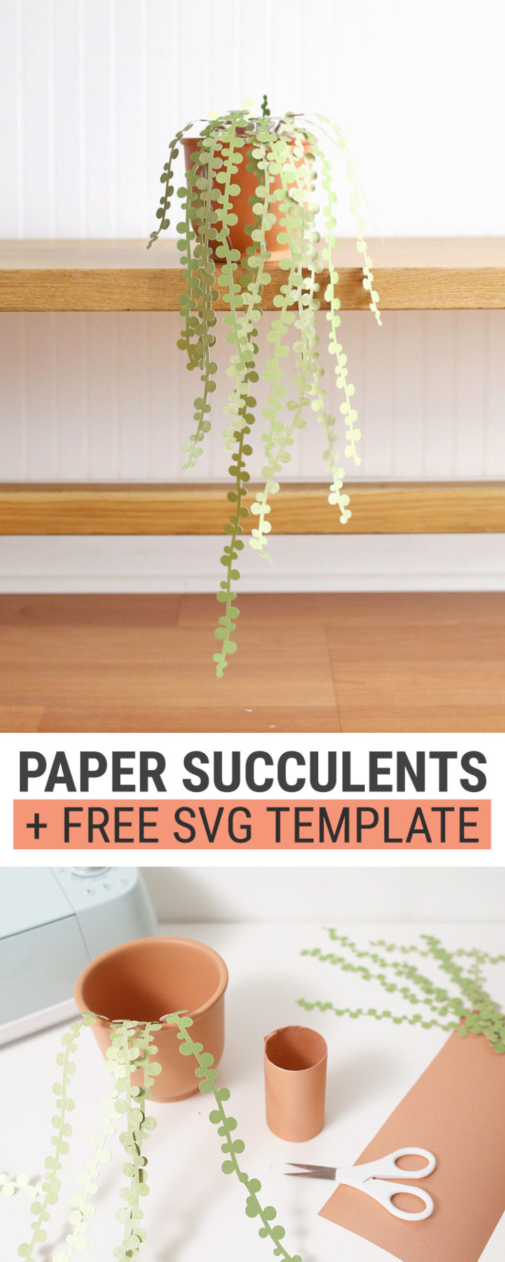 How to Make Paper Succulents With Free Template - Shrimp Salad Circus