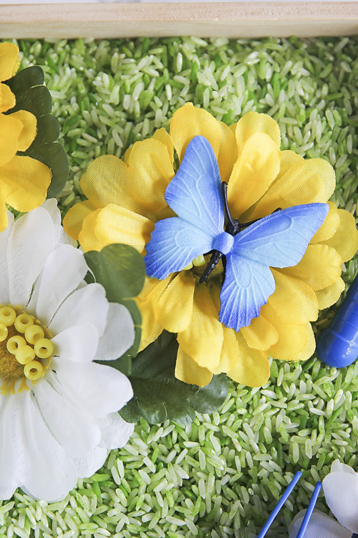 Butterfly Sensory Activity for Preschoolers - Shrimp Salad Circus