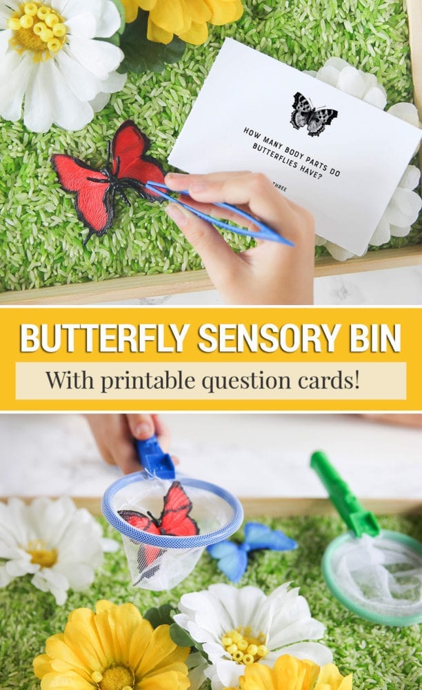 Butterfly Sensory Activity for Preschoolers - Shrimp Salad Circus