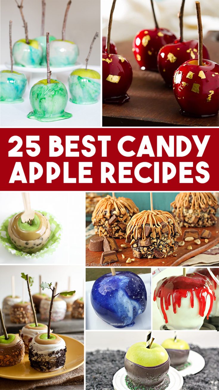 25 of the Best Candy Apple Recipes on the Internet - Shrimp Salad Circus